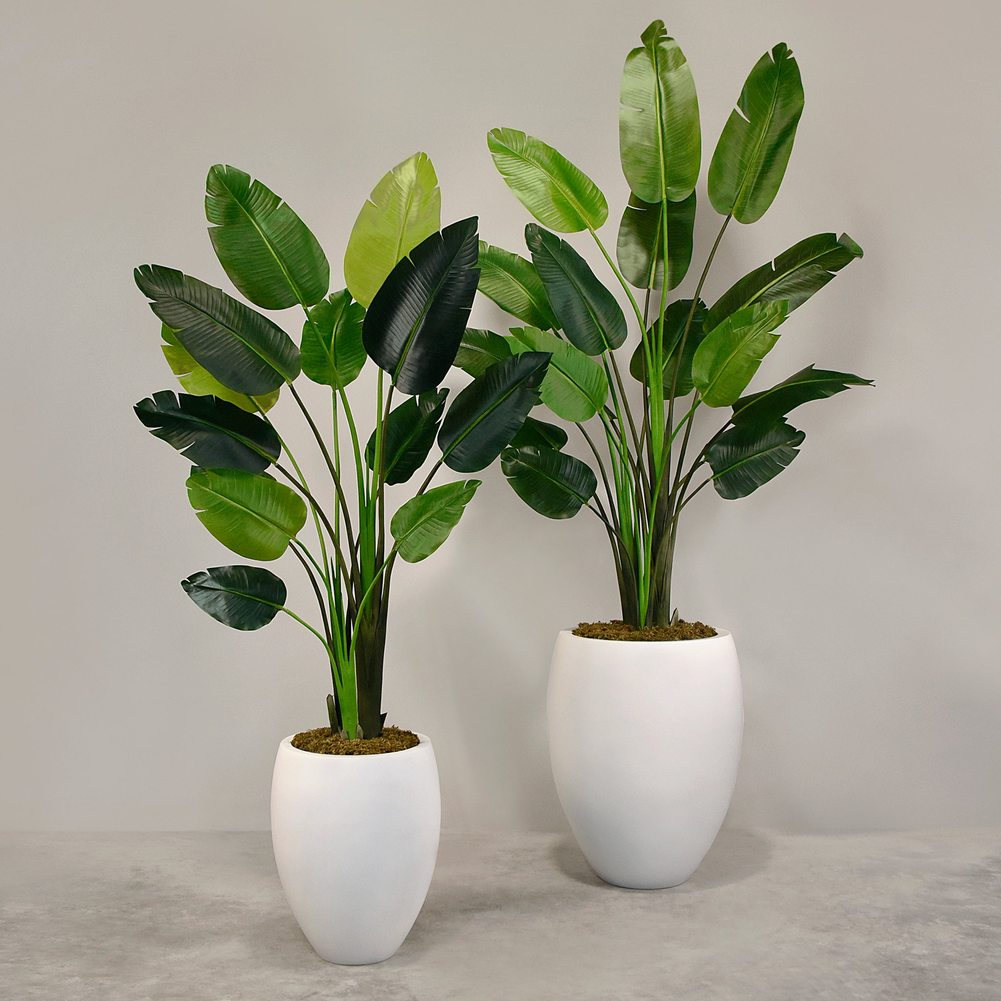 Designers Collection – Bloomr