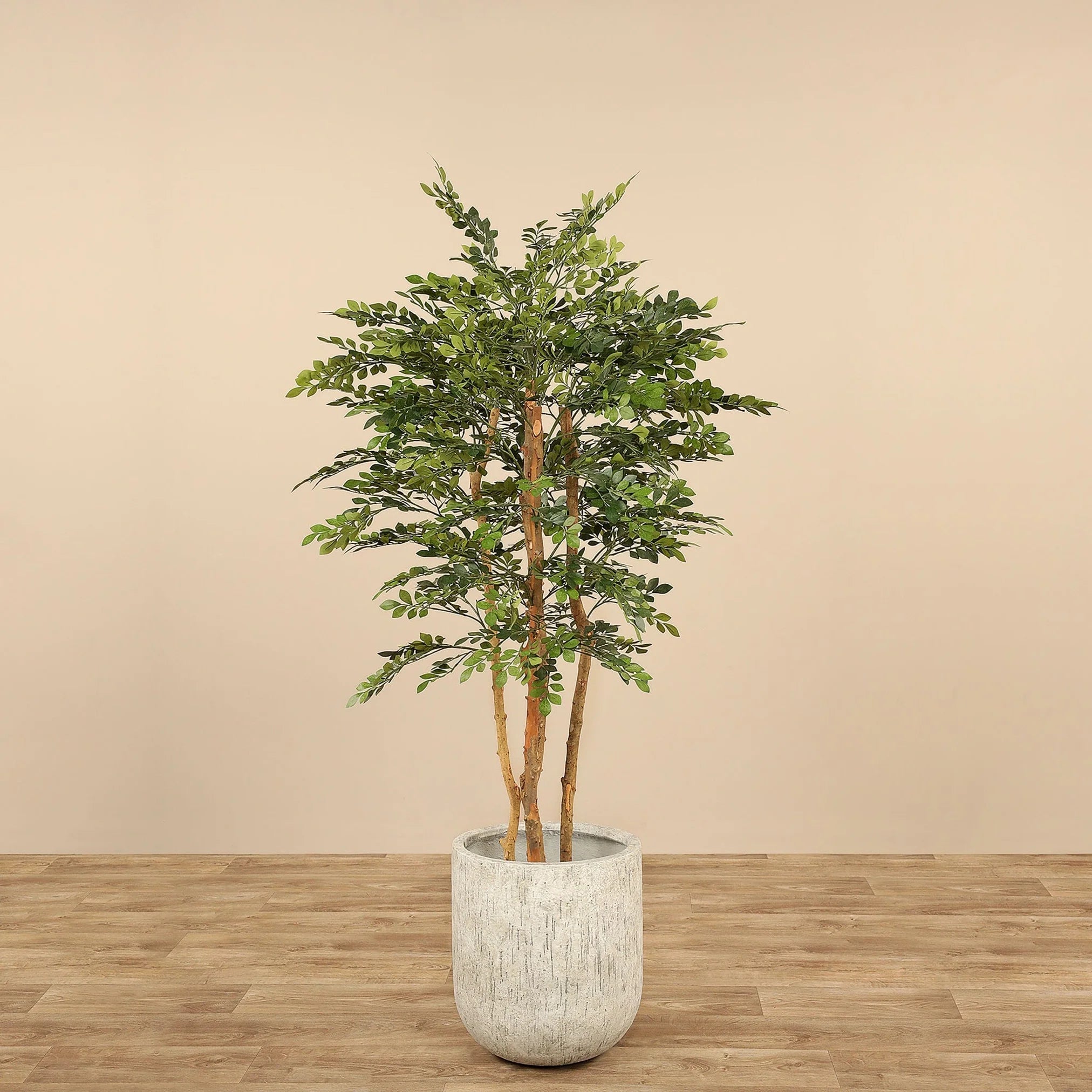 Luxury Artificial Acacia Trees – Bloomr