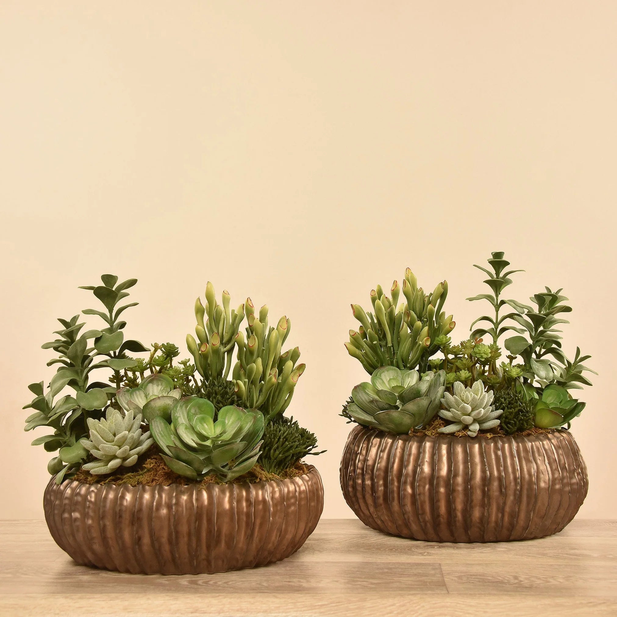 Luxury Artificial Succulents/Cactus/Agave/Aloe – Bloomr