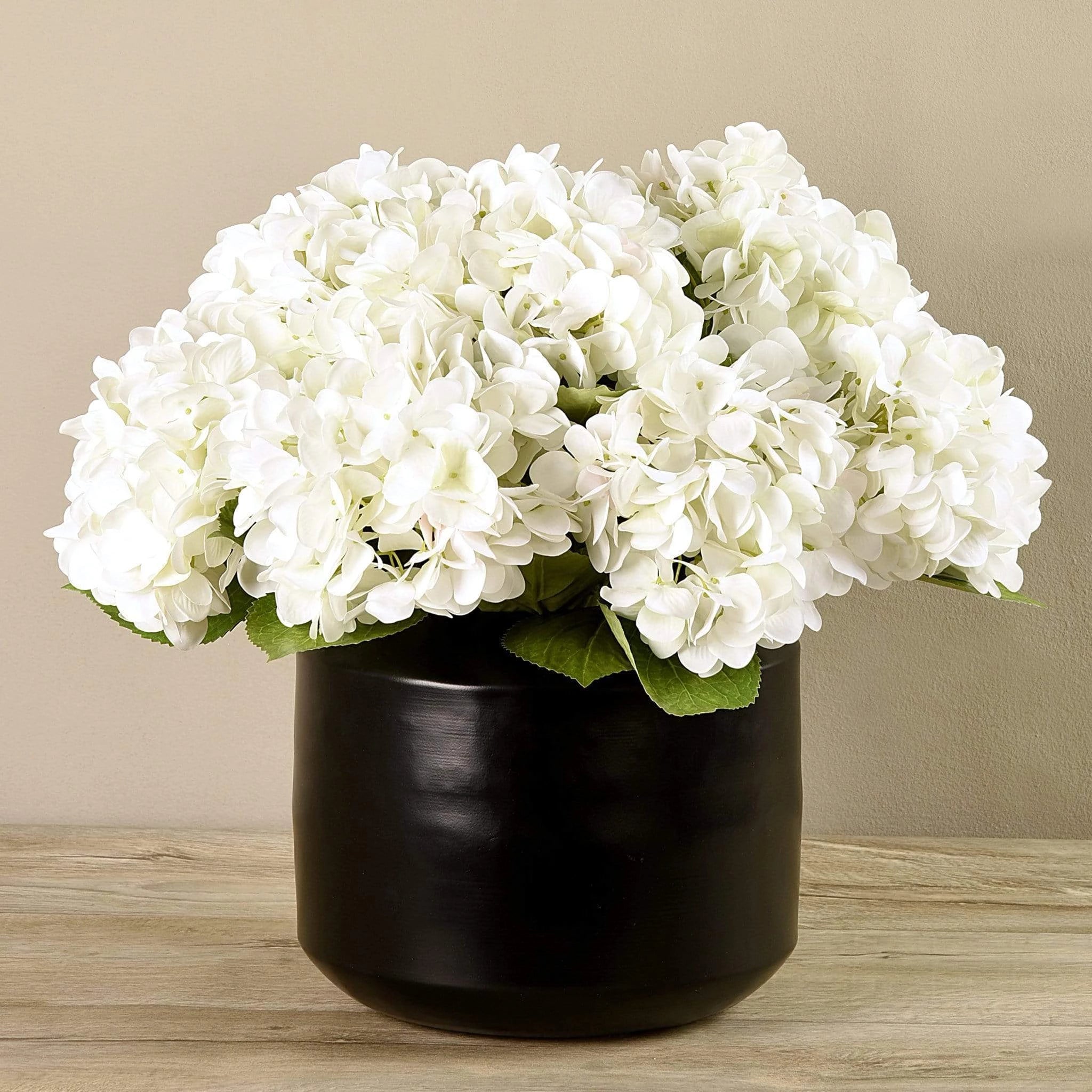 Hydrangea Arrangements in Dubai & Abu Dhabi | Bloomr UAE