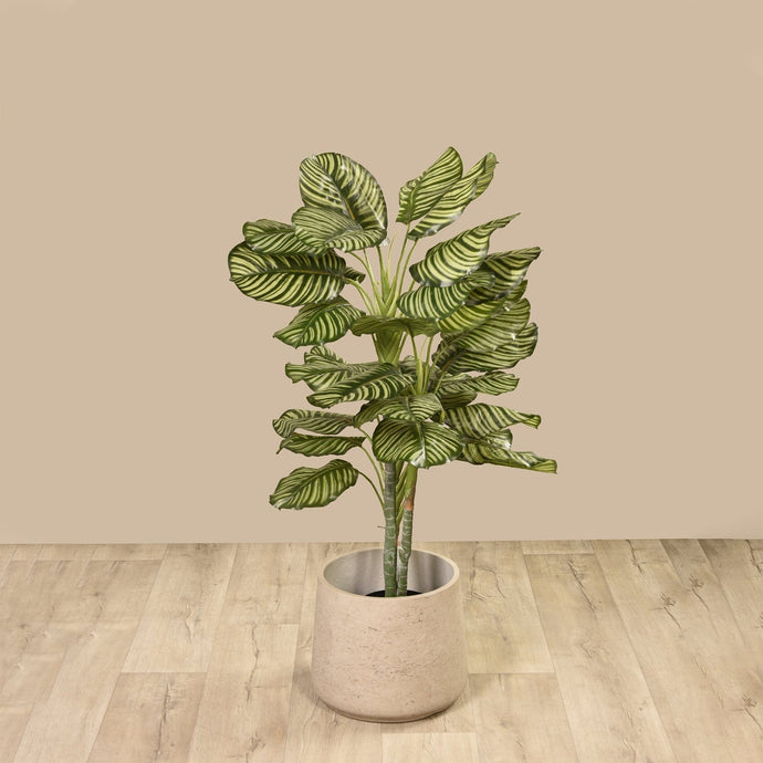 Artificial Calathea Tree 105cm – Bloomr