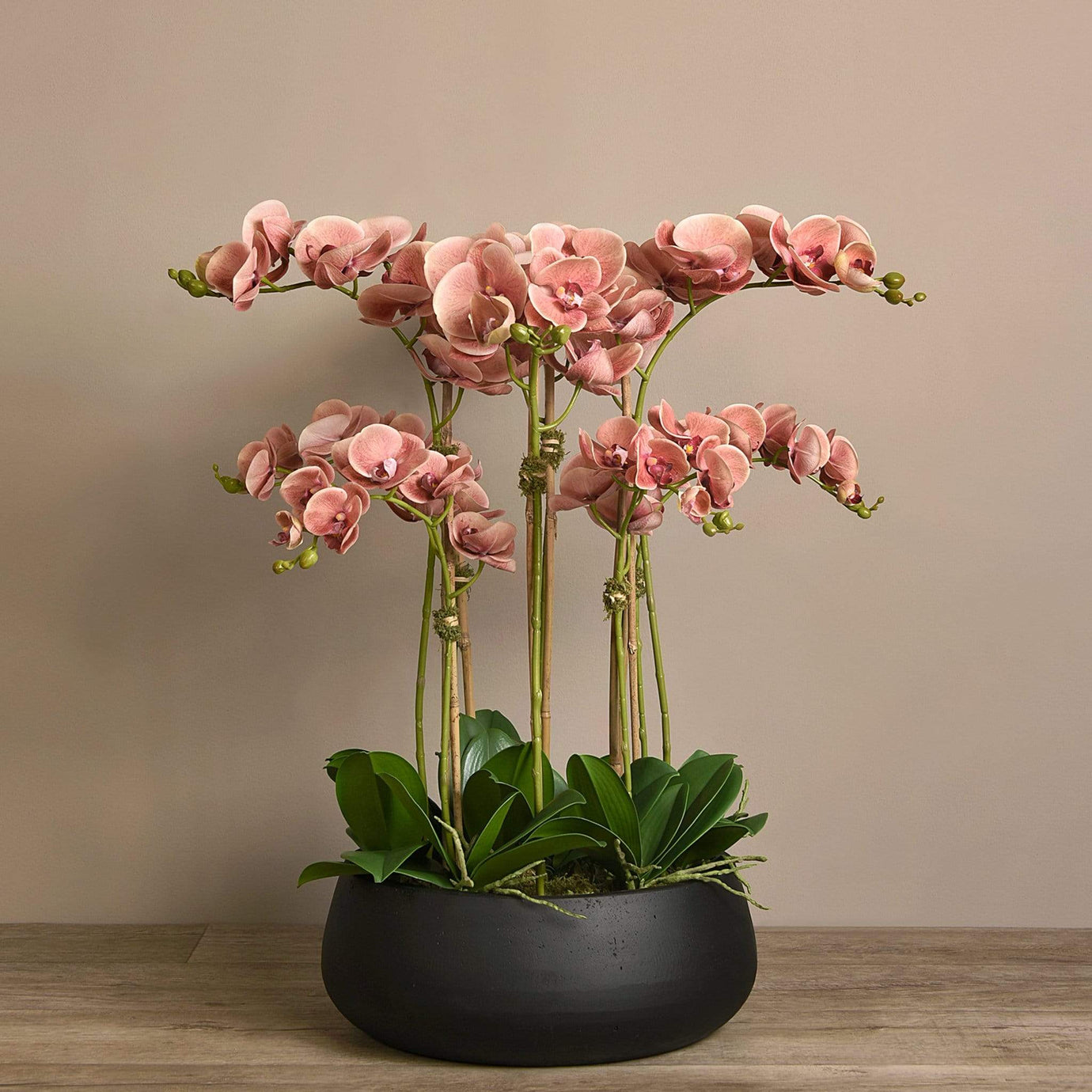 Oasis Artificial Orchids in Black Pot – Bloomr