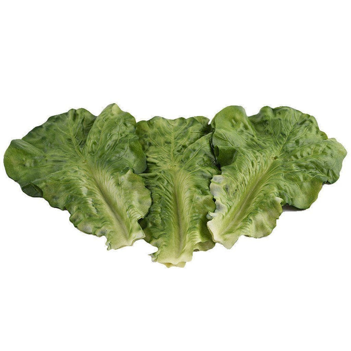 Premium Faux Salads You'll Love | Bloomr