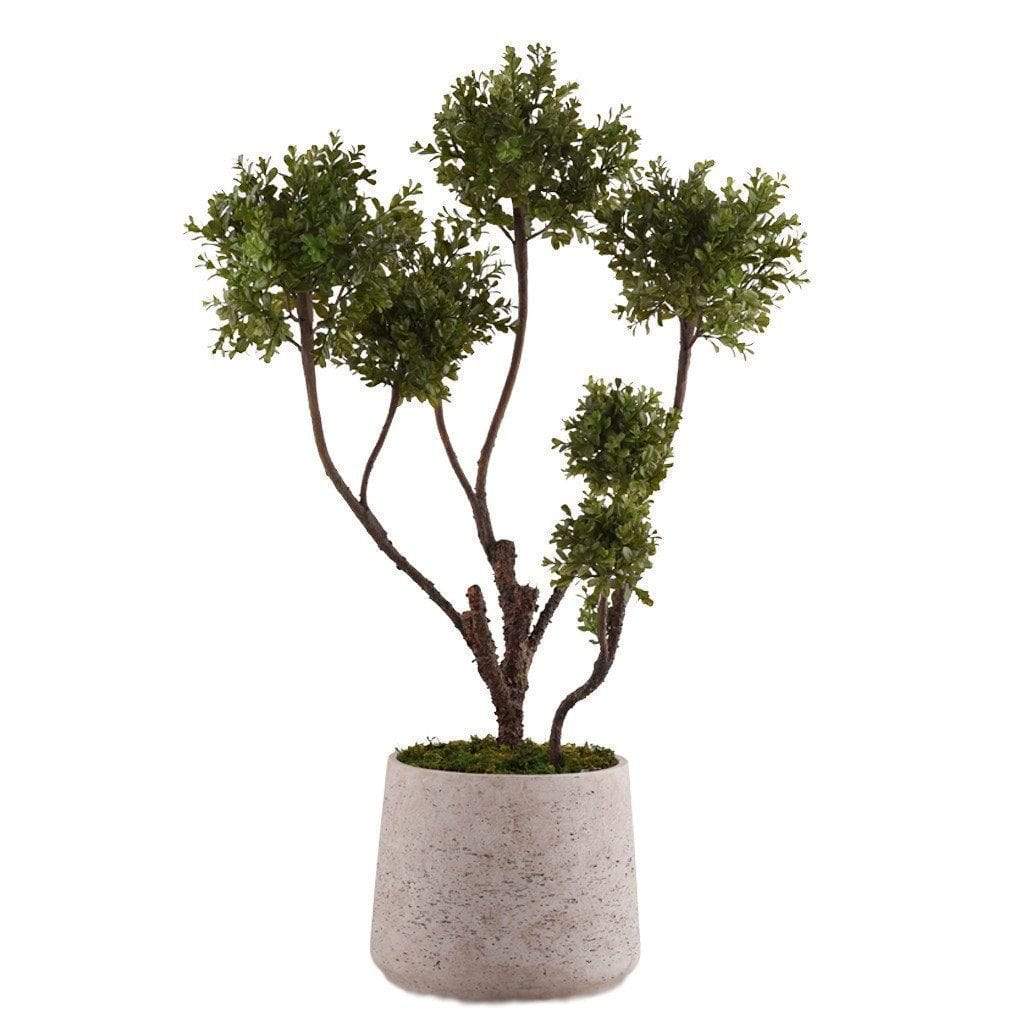 Best Faux Boxwood Plants Fake Green Plants Artificial Boxwood Plants ...