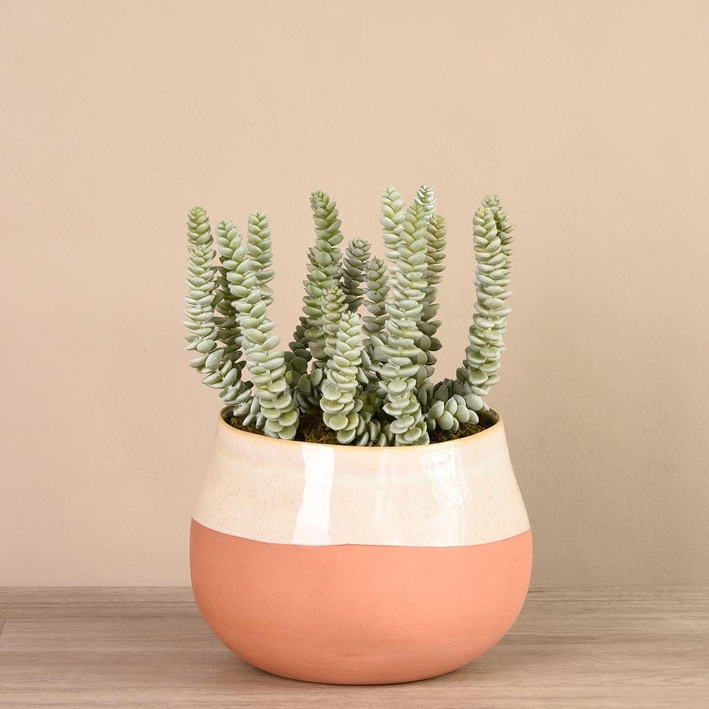 Best Artificial Plants Fake Plants Artificial Succulents | Bloomr Dubai