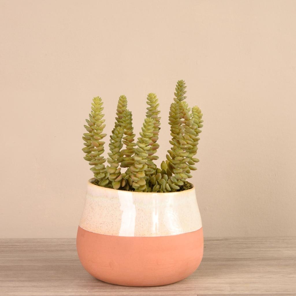 Best Artificial Plants Fake Plants Artificial Succulents | Bloomr Dubai