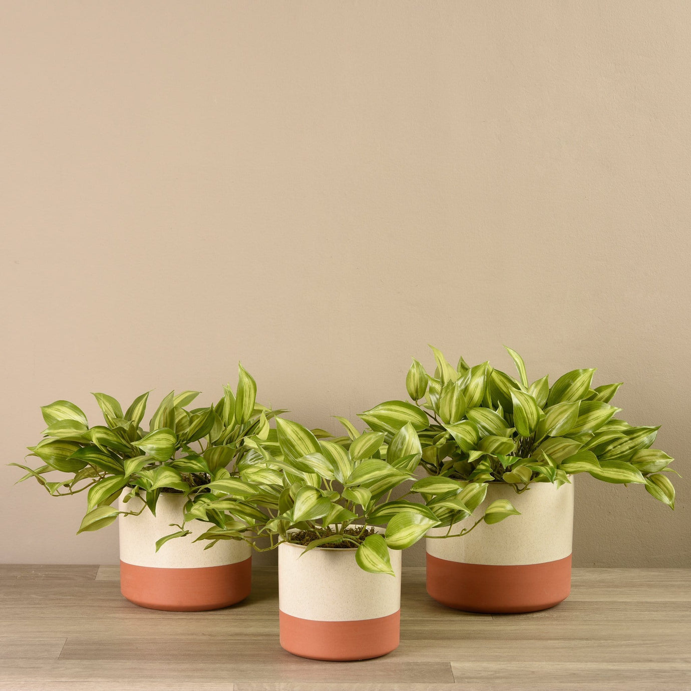 Artificial Potted Vanilla Plant – Bloomr