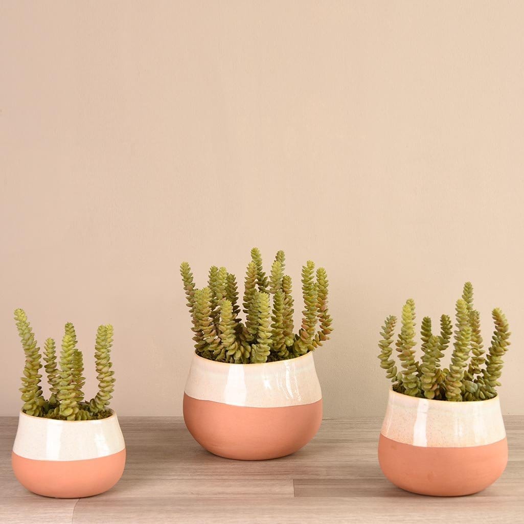 Best Artificial Plants Fake Plants Artificial Succulents | Bloomr Dubai