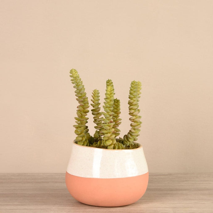Best Artificial Plants Fake Plants Artificial Succulents | Bloomr Dubai