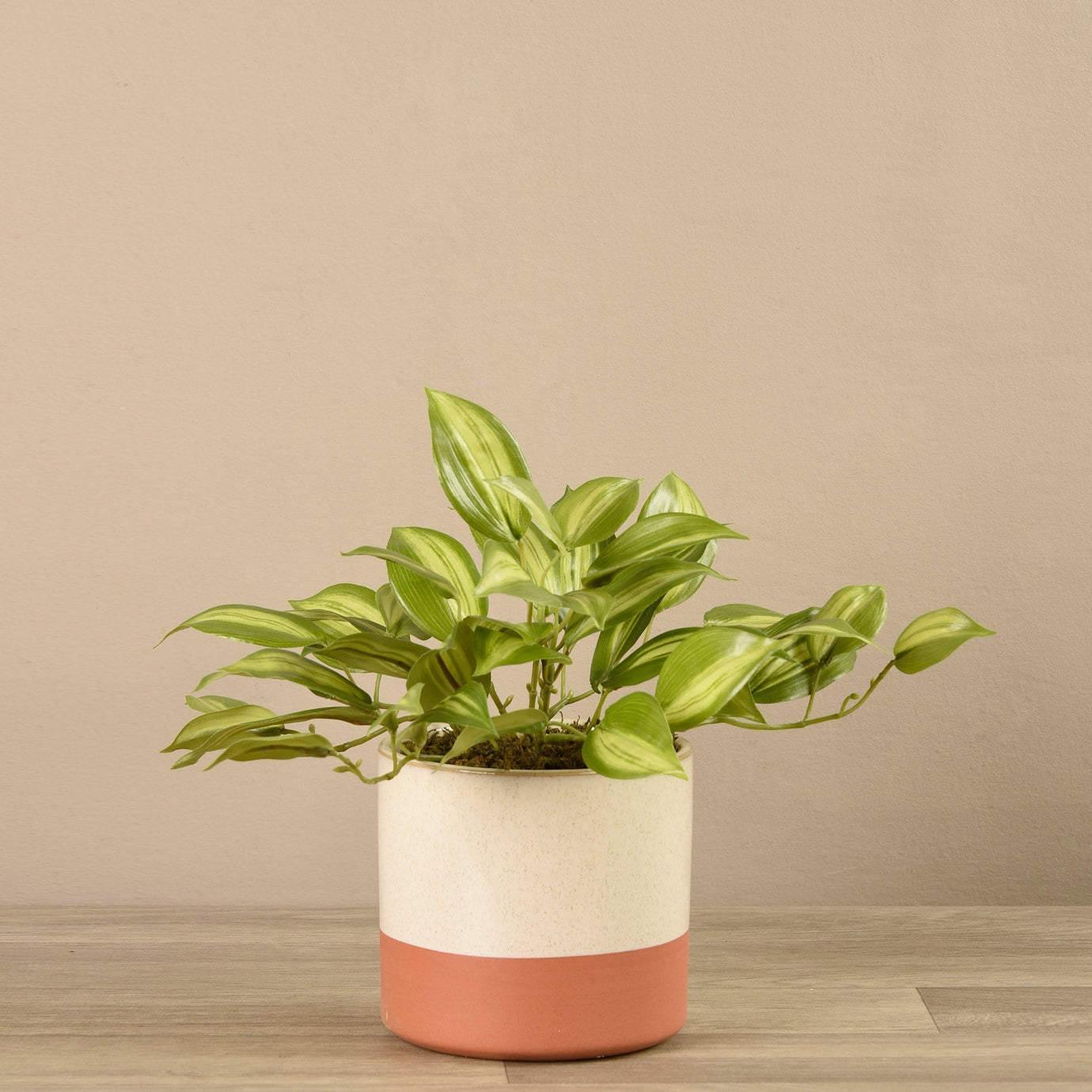 Artificial Potted Vanilla Plant – Bloomr