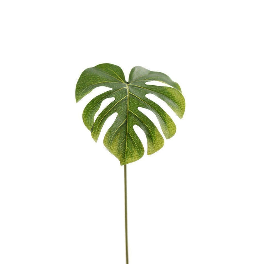 Discover Exotic Faux Split Philo Larges | Bloomr