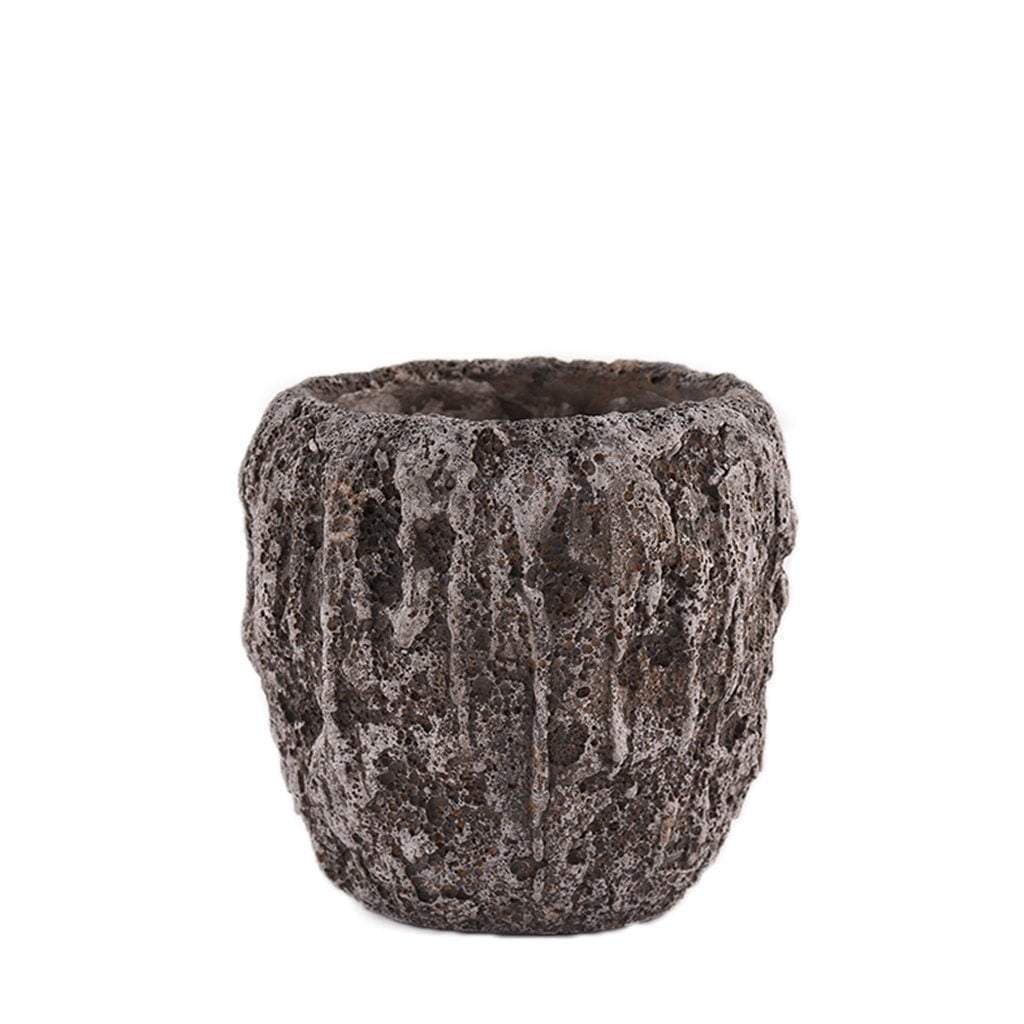 Round Cement Pot – Bloomr