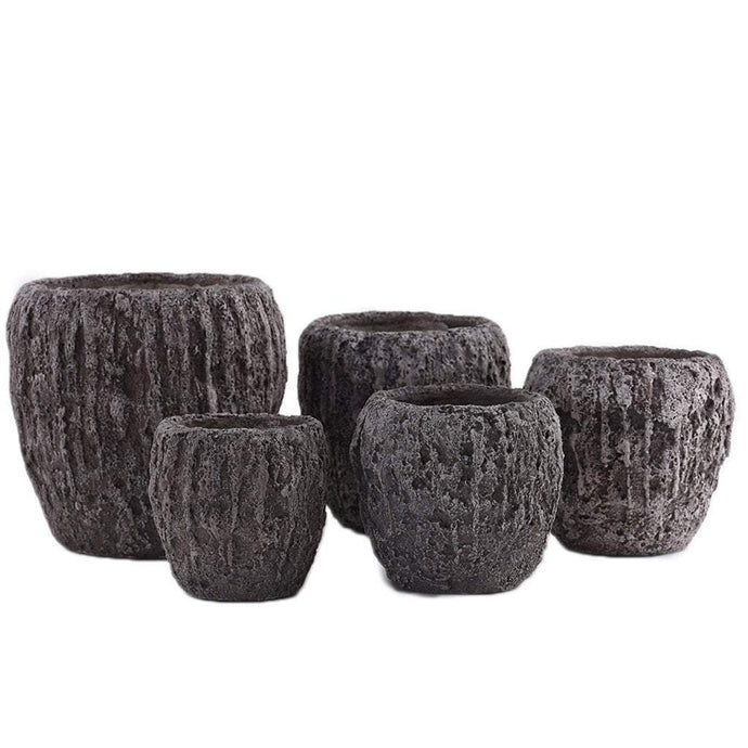 Round Cement Pot – Bloomr