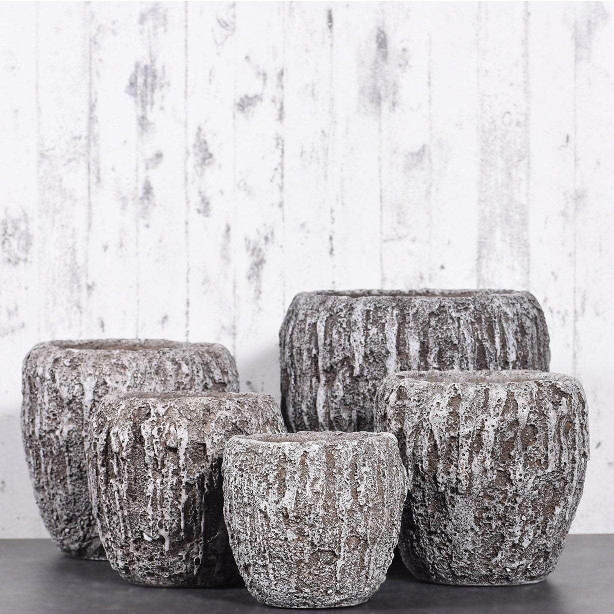 Round Cement Pot – Bloomr