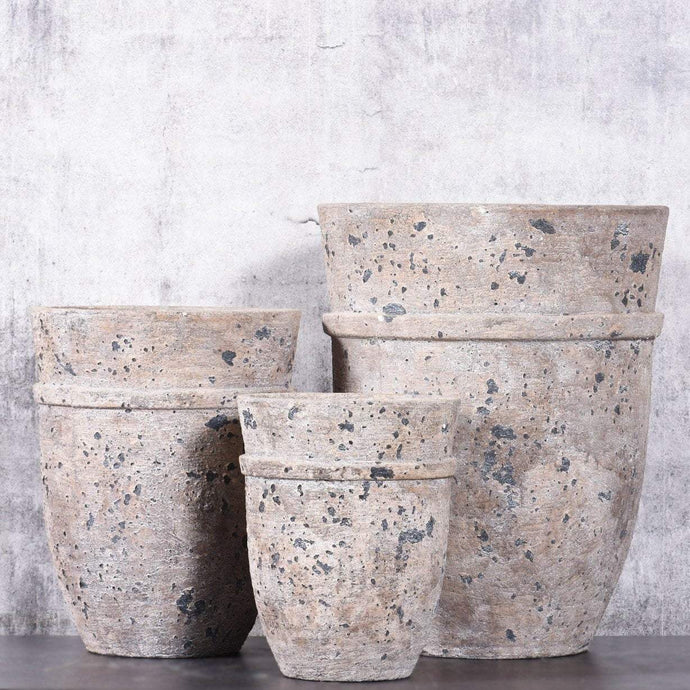 Round Cement Pot – Bloomr