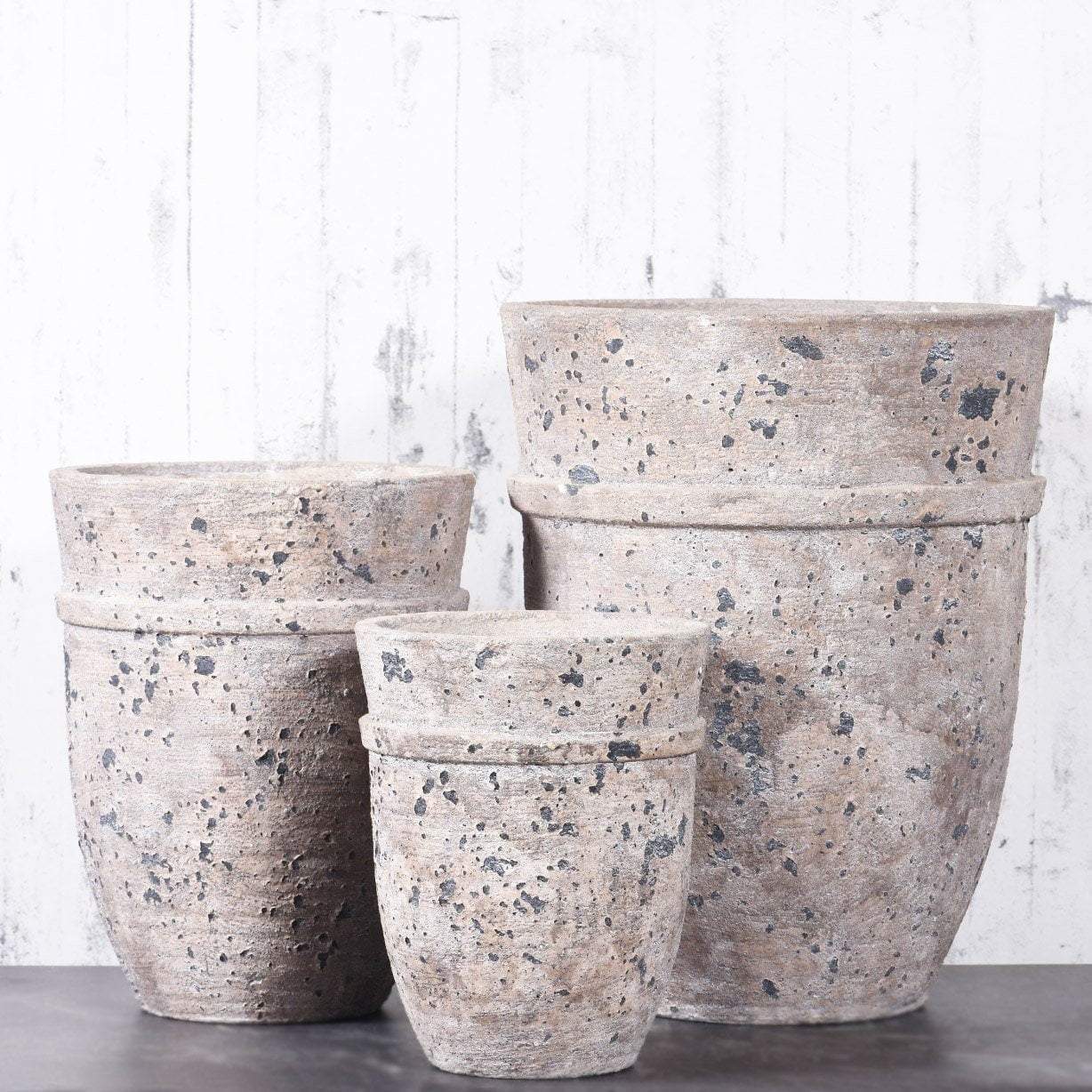 Round Cement Pot – Bloomr