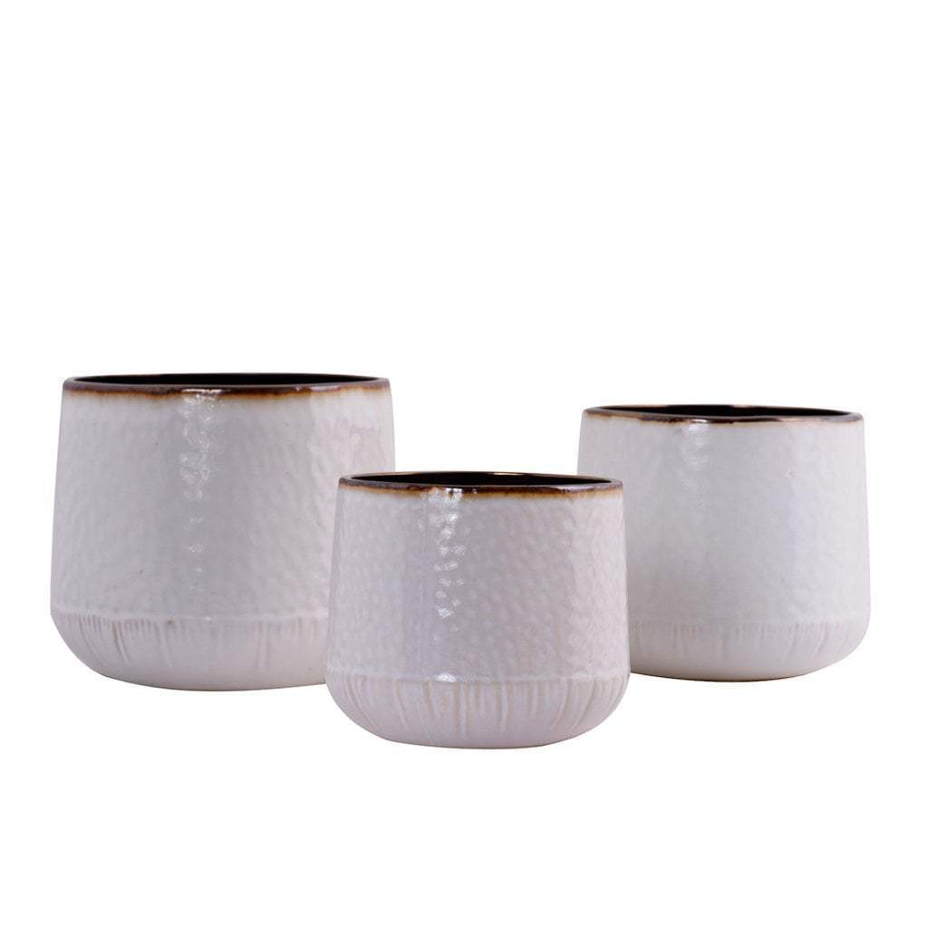 Shop Exquisite Round Ceramic Pots | Bloomr