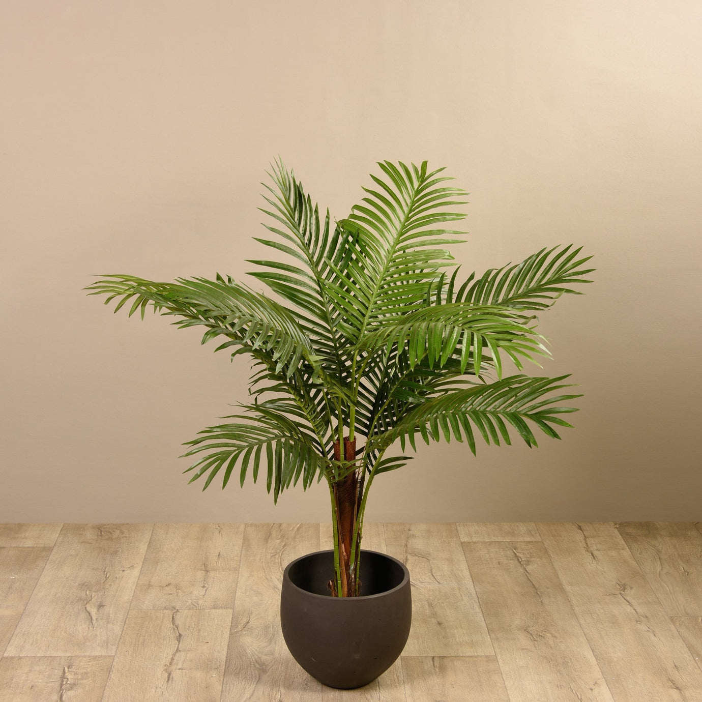 Best Artificial Palm Trees Fake Trees Artificial Trees | Bloomr Dubai